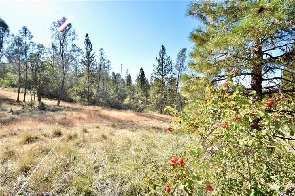 7 acres in Yuba County, California