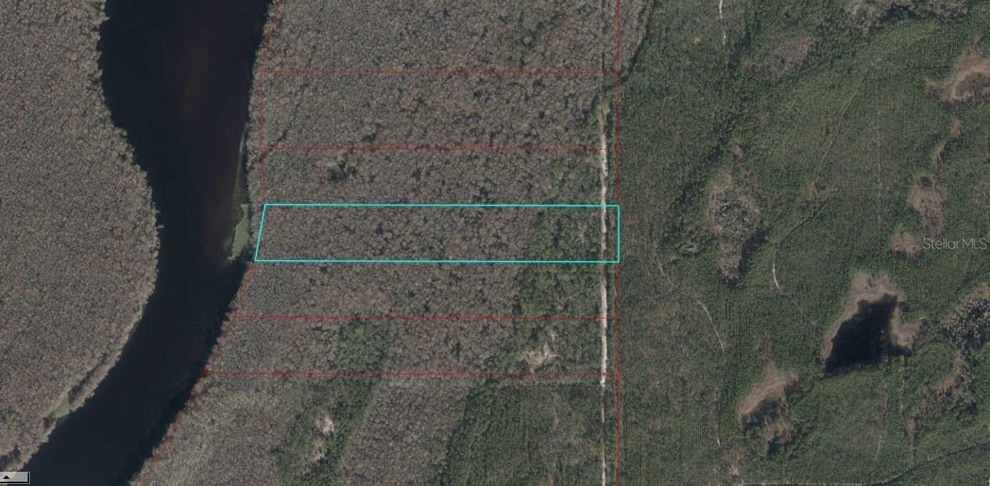 17 acres in Levy County, Florida