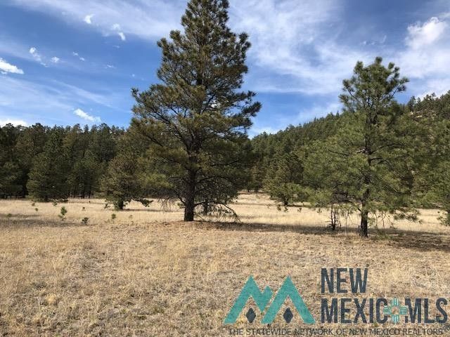 1 acres in Mora County, New Mexico
