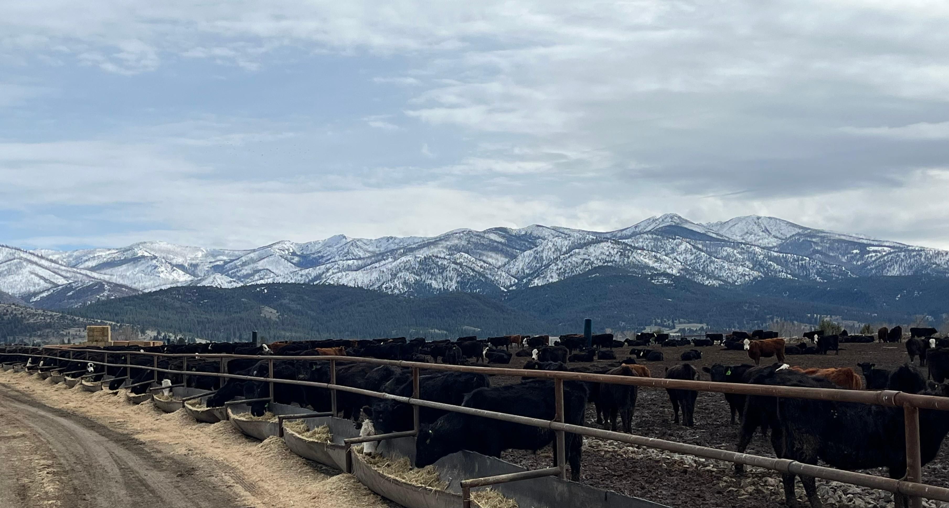 27542 Indian Creek Road, John Day, OR 97845 | Land.com