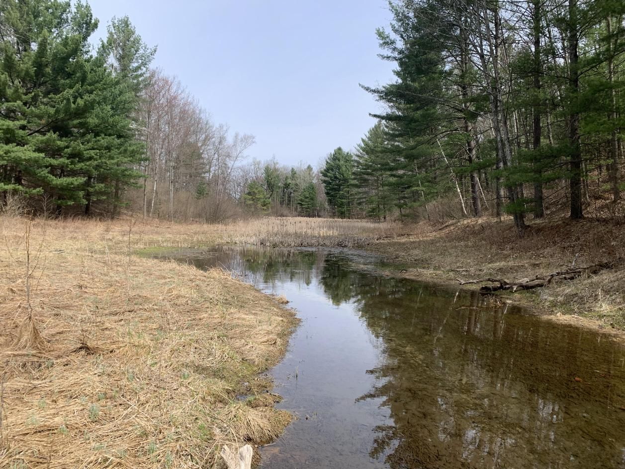 2076 Ridge Rd, Harrison, MI 48625 | Land.com