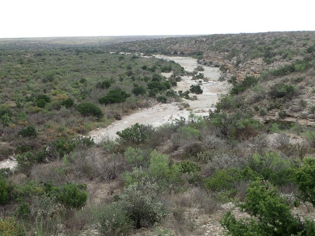 161 acres in Terrell County, Texas