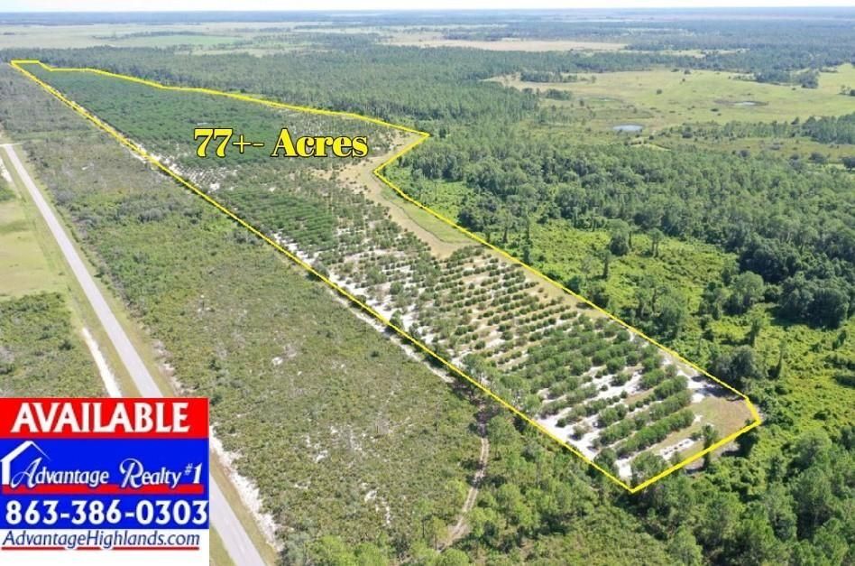 77.93 acres in Highlands County, Florida