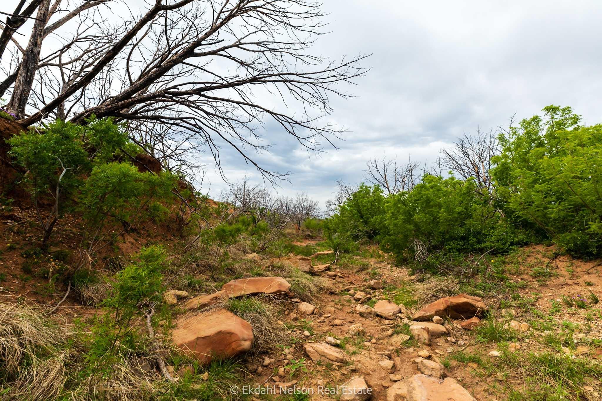 County Road 233, Merkel, TX 79536 | Land.com