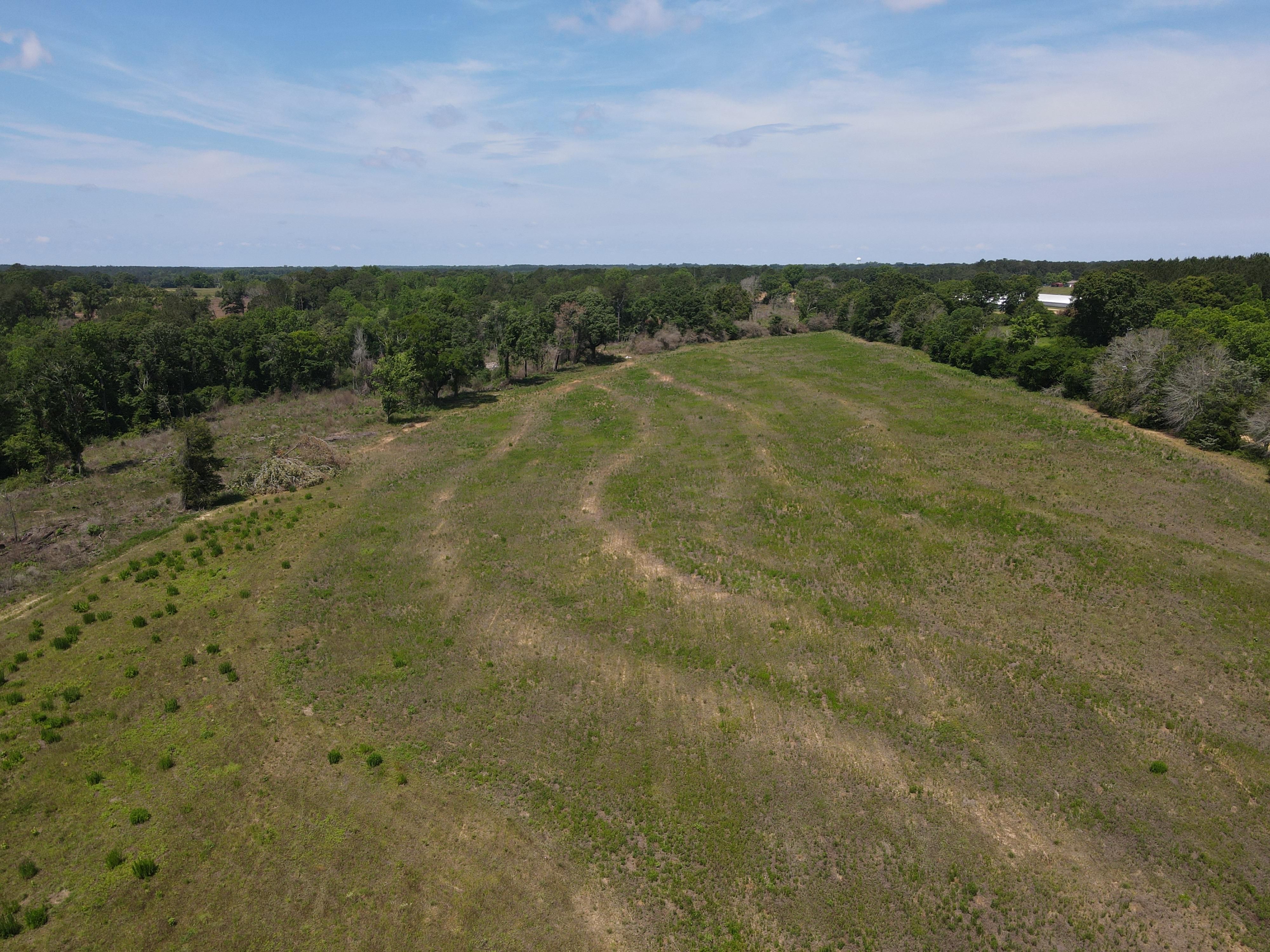 Shoemaker Rd, Andalusia, AL 36421 | MLS: SOUTHWIND ROAD TRACT | Land.com