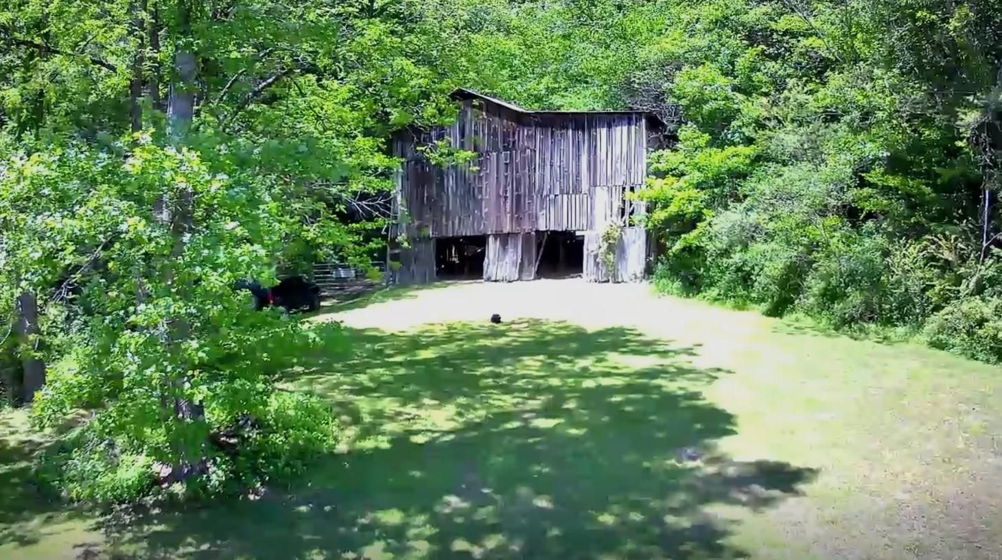 Old Asheville Hwy, Erwin, TN 37650 | Land.com