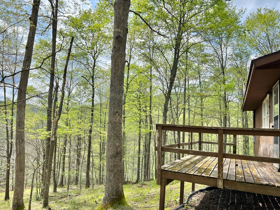 Sand Fork Rd, New Milton, WV 26411 | Land.com