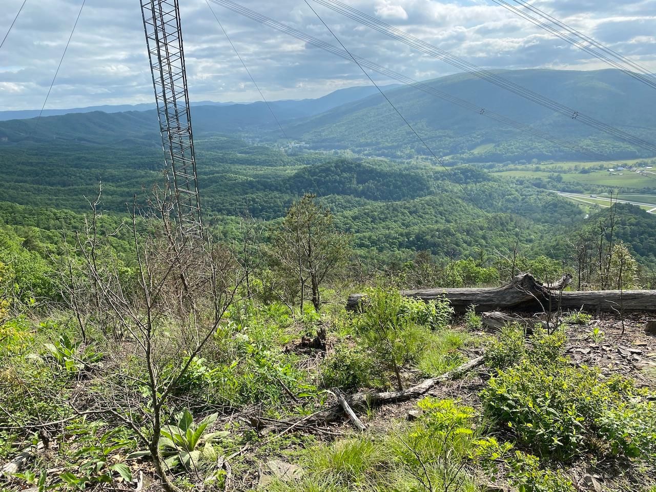 Hogback Ridge Road, Bland, VA 24135 | Land.com