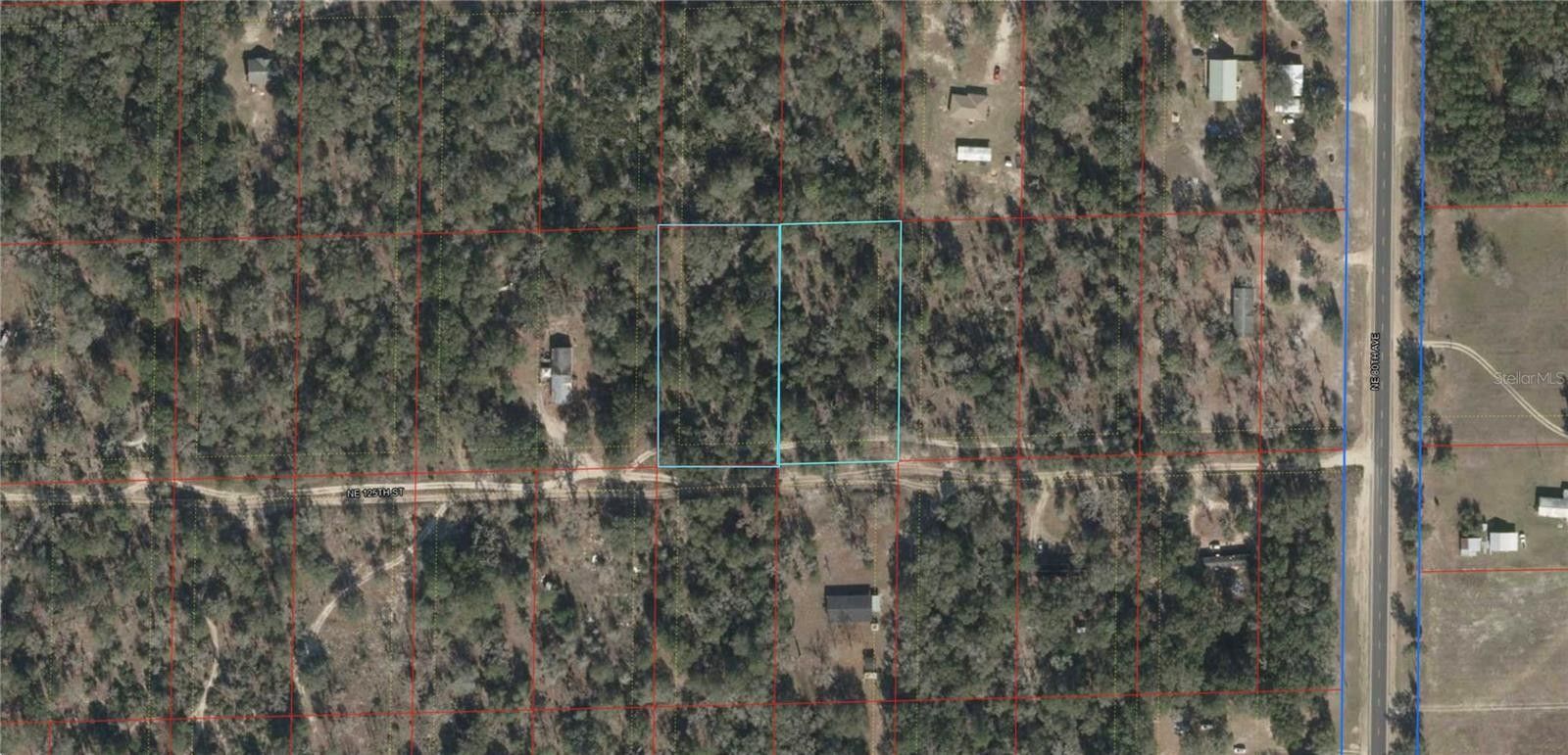 2.5 acres in Levy County, Florida