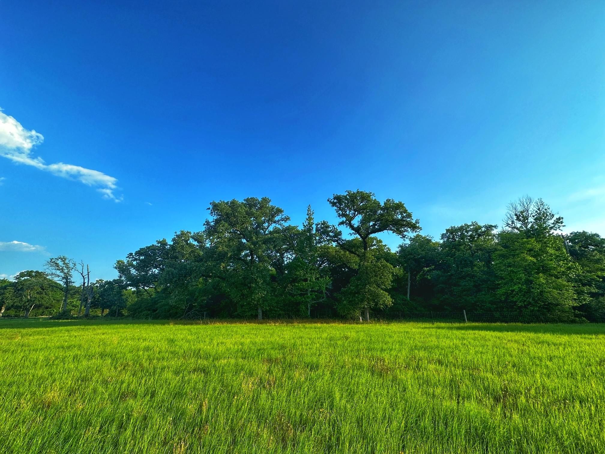 CR 490, Normangee, TX 77871 | Land.com