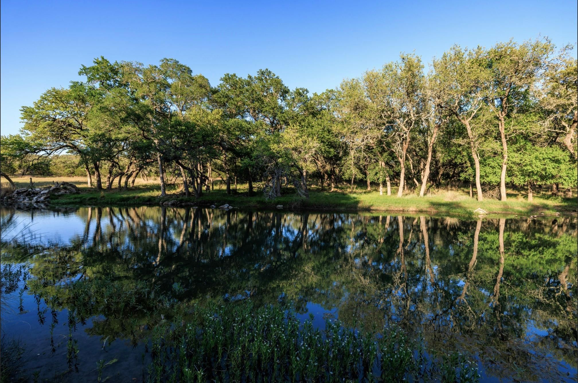 488 Ranch Road 1323, Johnson City, TX 78636 | MLS: 1032143 | Land.com