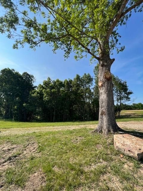 2 Taulbee Ridge, Pine Ridge, KY 41360 | MLS: 23010321 | Land.com