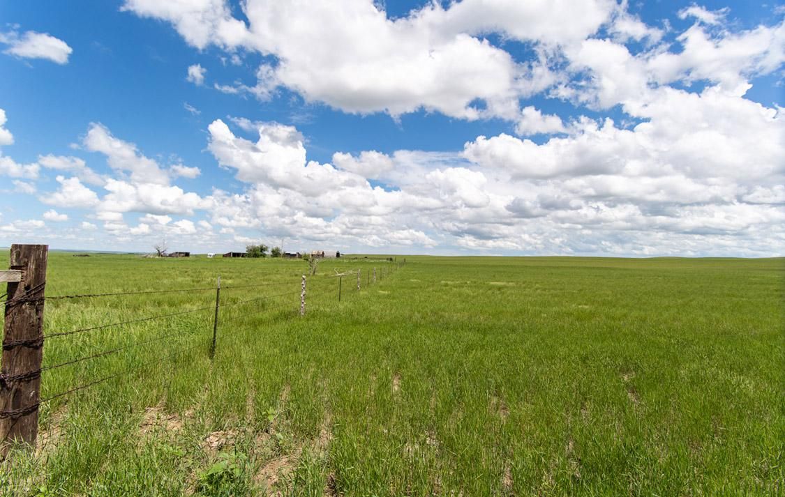 5065 Road 19, Yoder, WY 82244 | Land.com