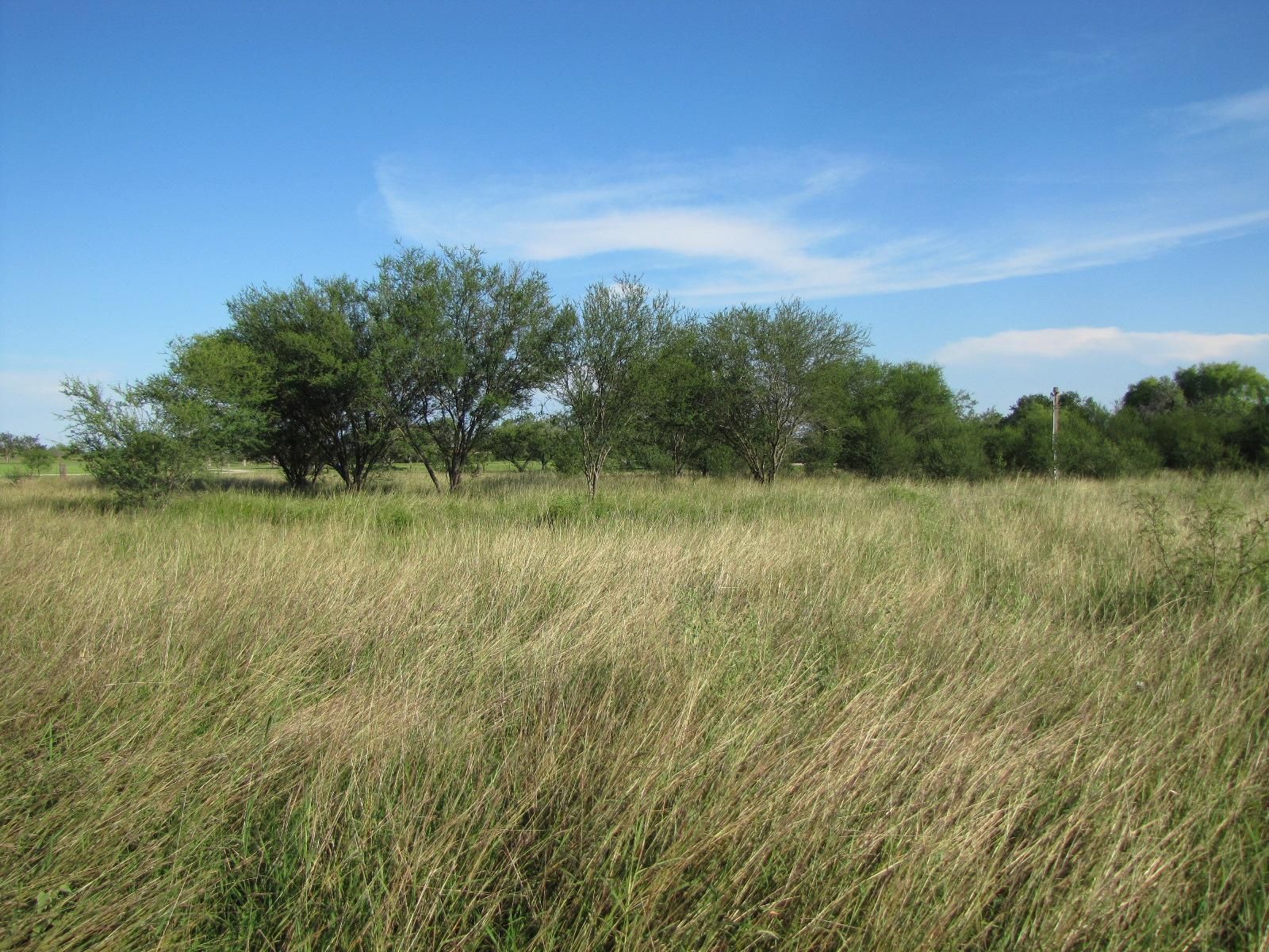 TBD County Road 303 West, Orange Grove, TX 78372 | MLS: 420384 | Land.com