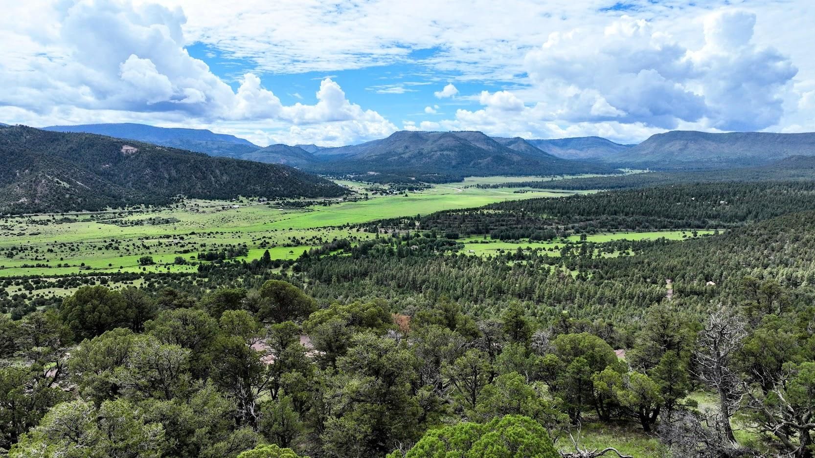 36 acres in Nutrioso, AZ, 85932 | Land.com