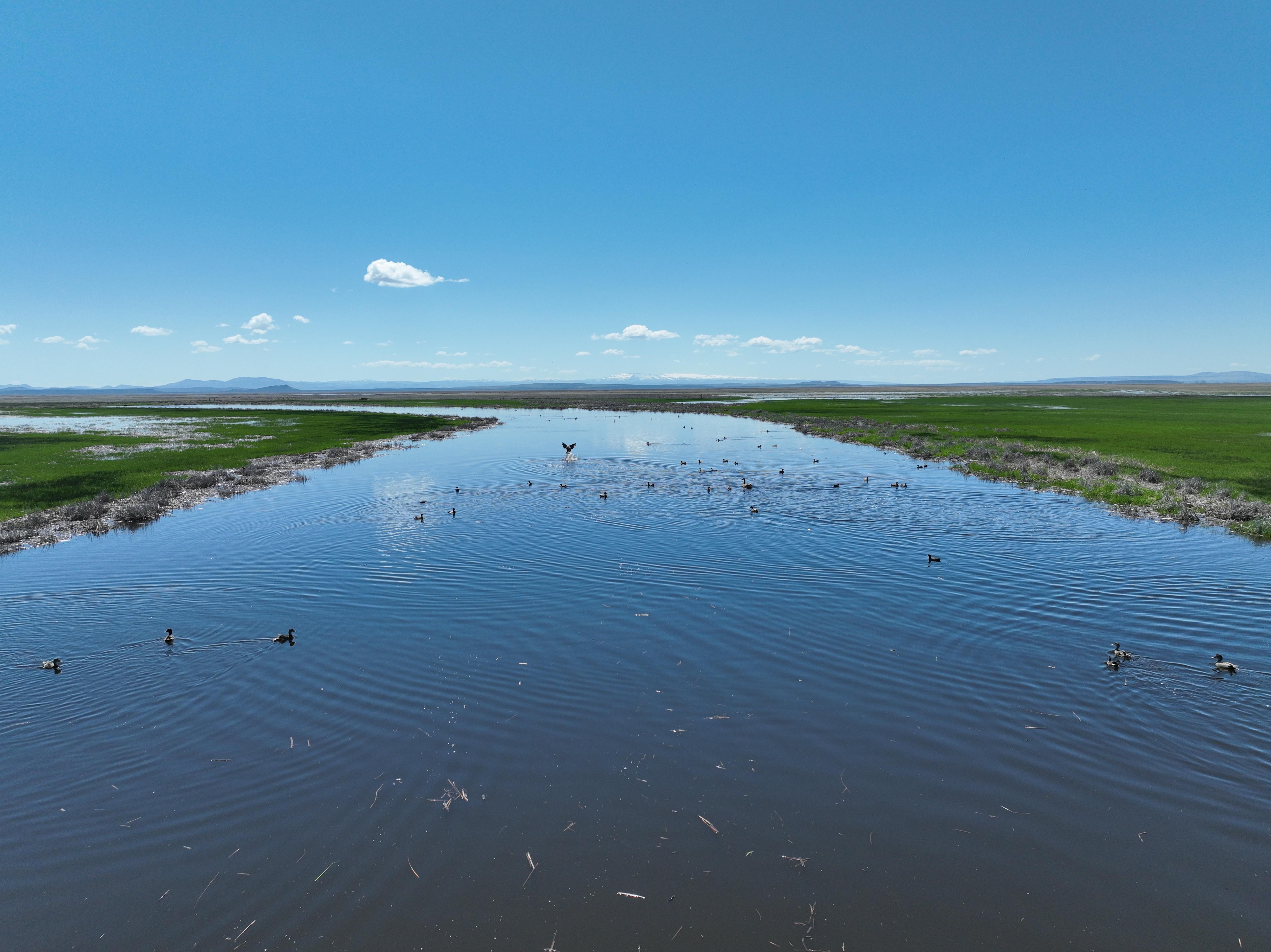 Lawn Rd, Burns, OR 97720 | MLS: 36102-00270 | Land.com