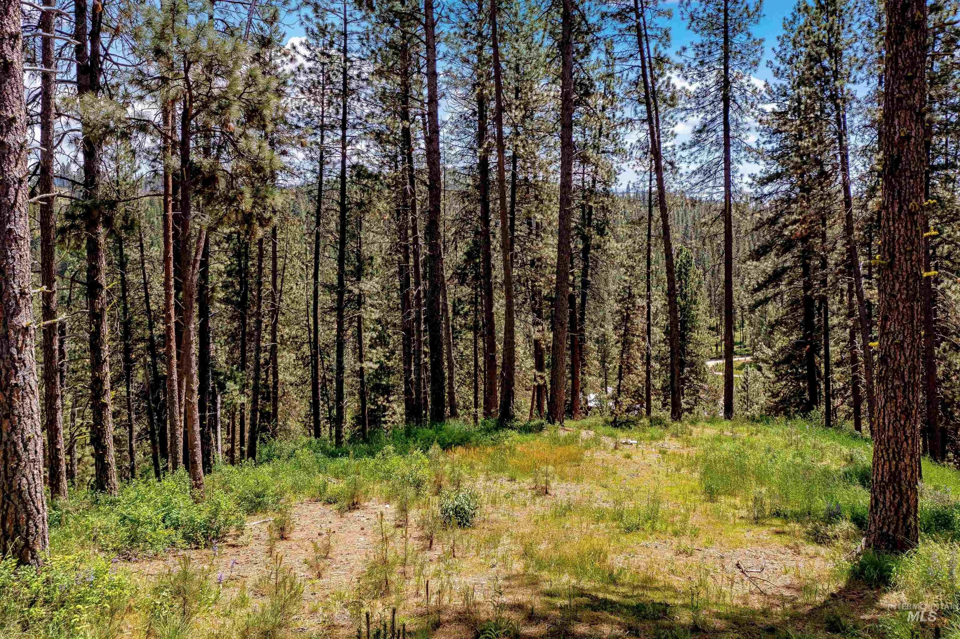 8 acres in Boise County, Idaho