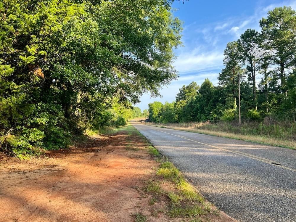 County Road 6636, Banks, AL 36005 | Land.com