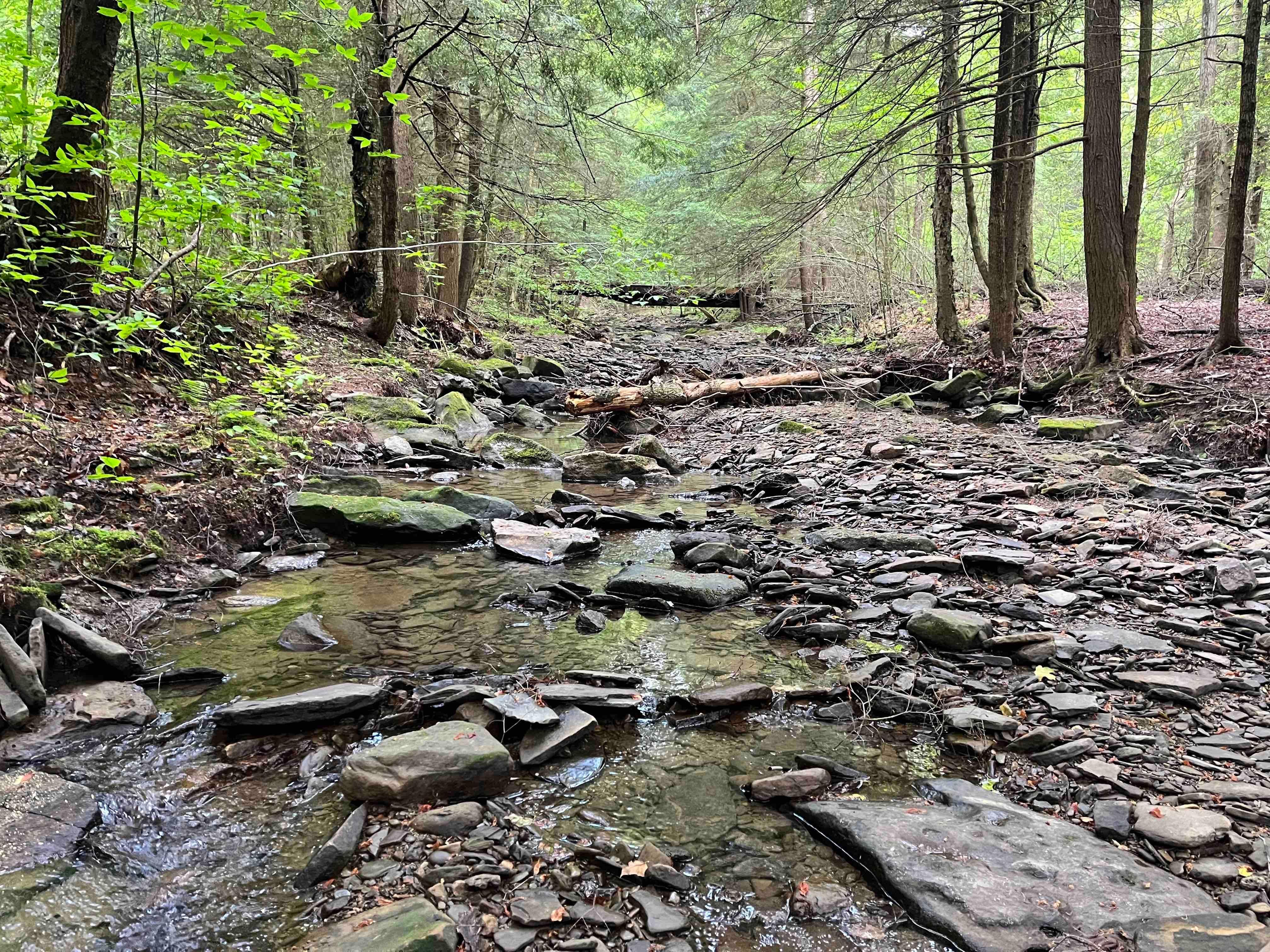 78.7 acres in Cattaraugus County, New York