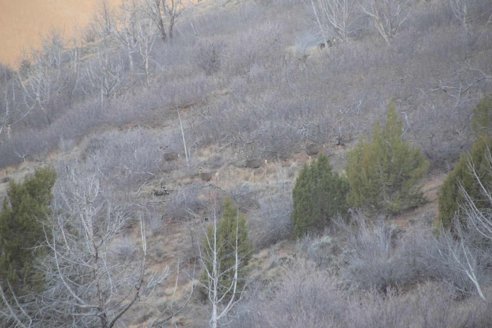 80 acres in Juab County, Utah