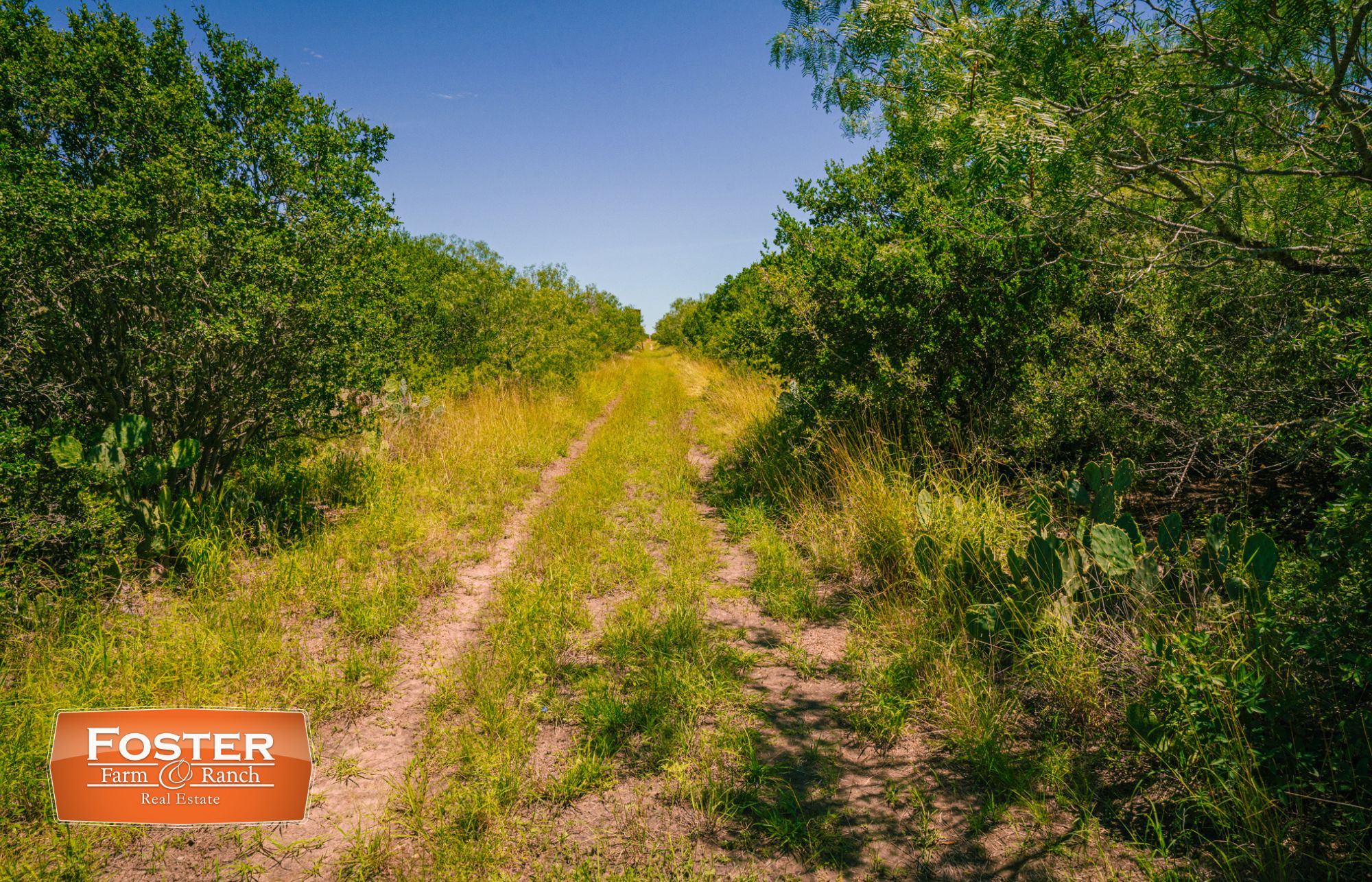 54.79 acres in Benavides, TX, 78341 | Land.com