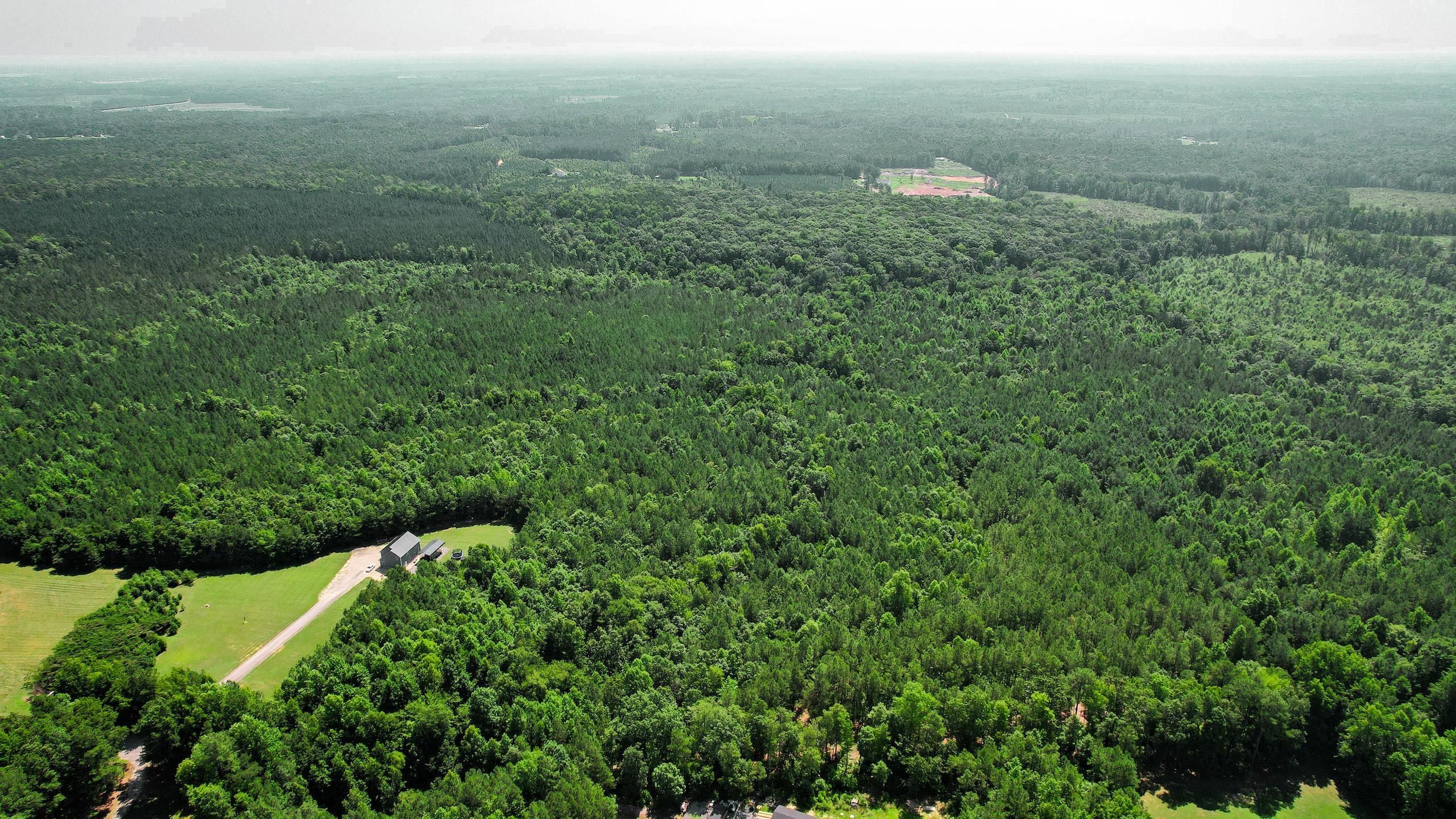 19.81 acres in Dinwiddie County, Virginia