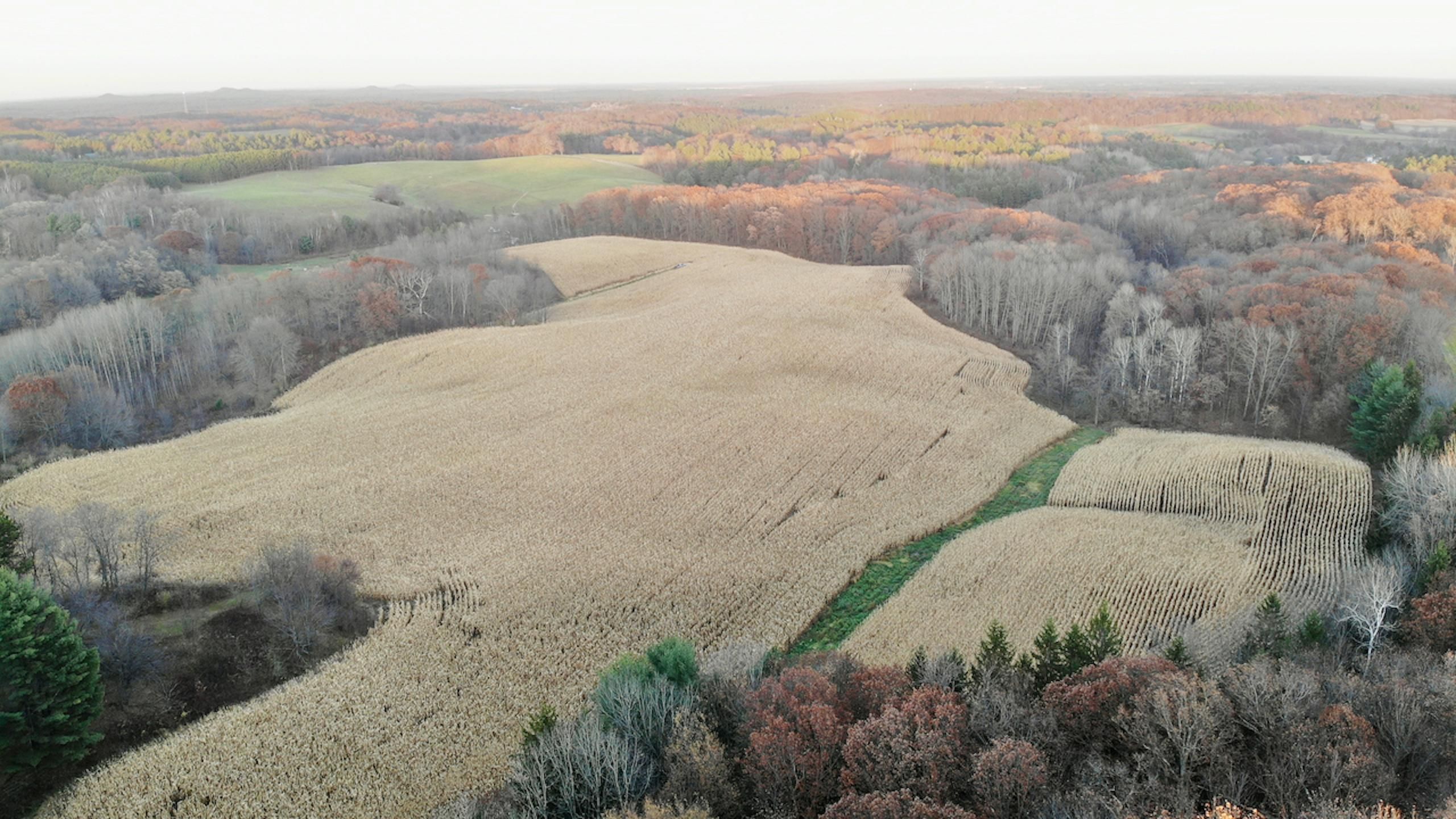 County Highway E, Warrens, WI 54666 | Land.com