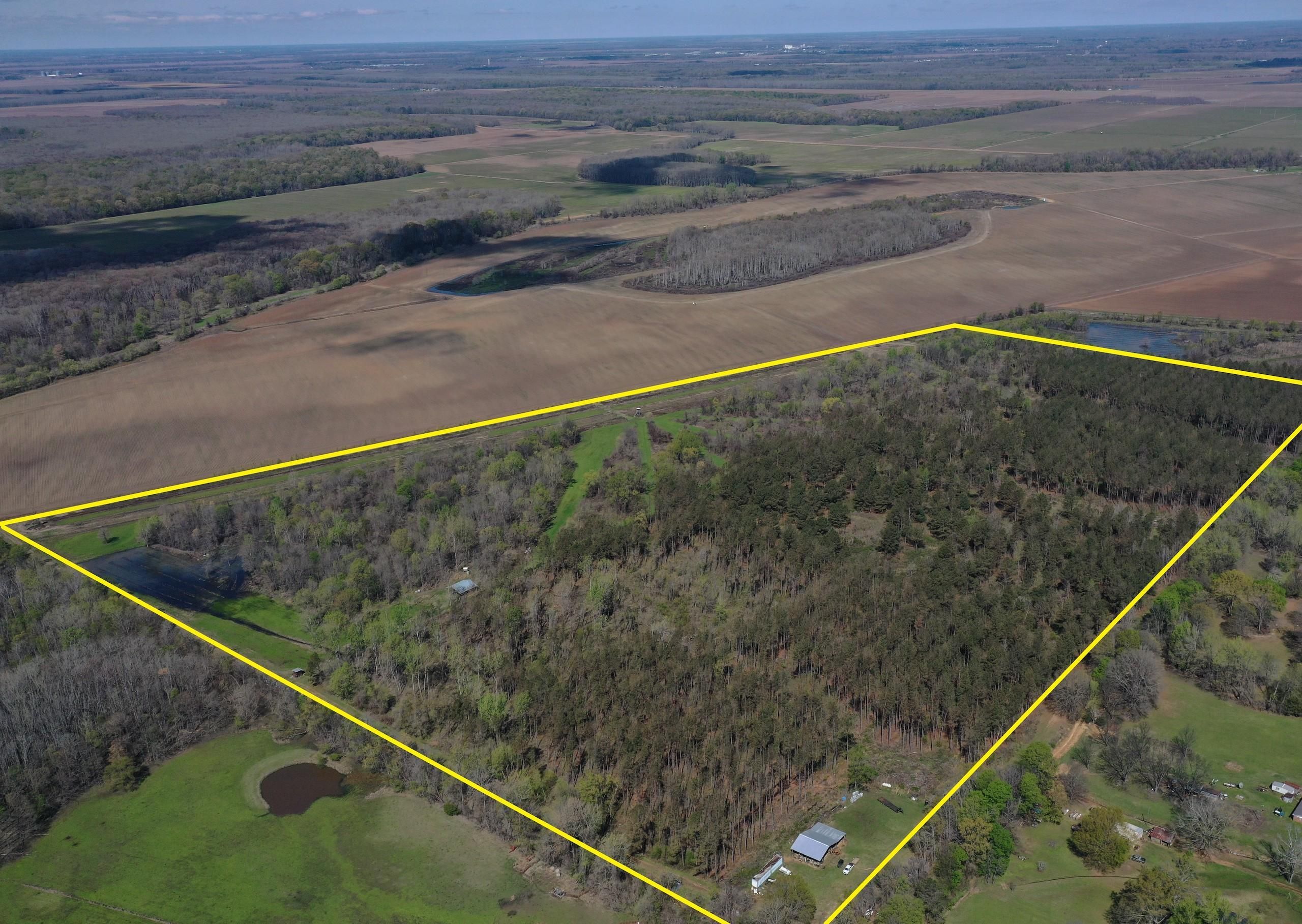 CR 156, Lot#WP001, Sidon, MS 38954 | Land.com