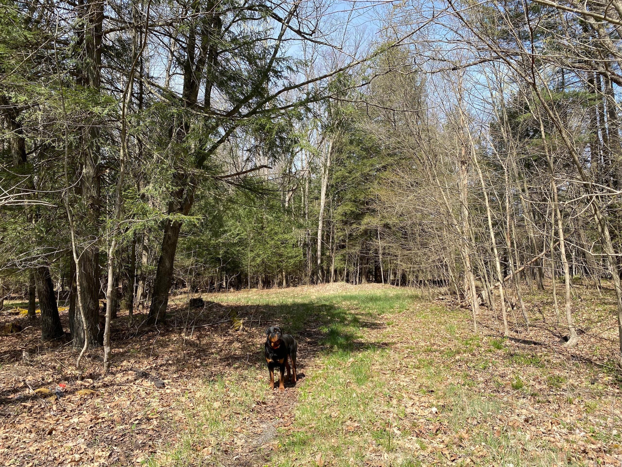 8.82 acres in Clearfield County, Pennsylvania