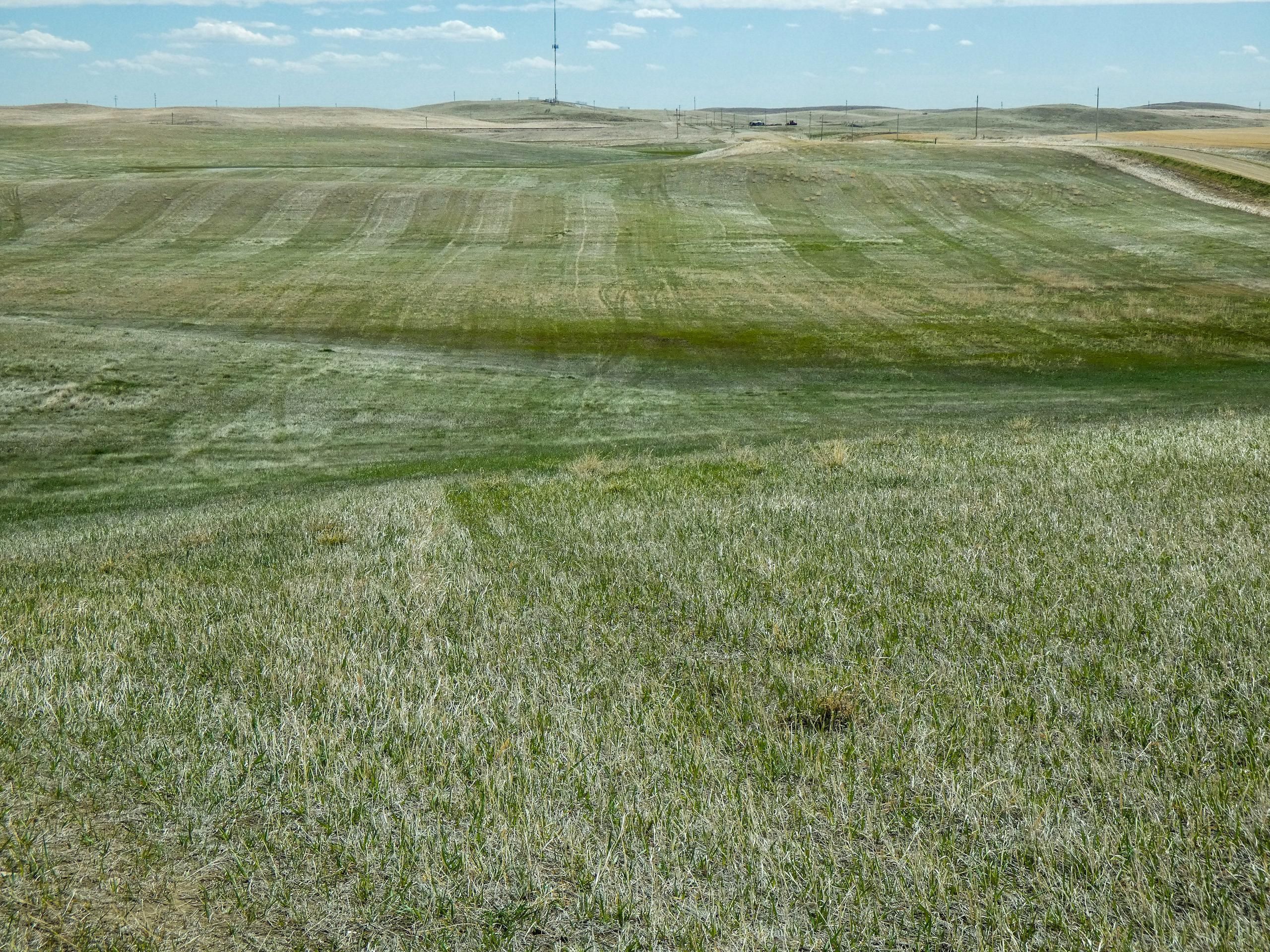 0000 N Westby Rd, Westby, MT 59275 | MLS: 339566 | Land.com