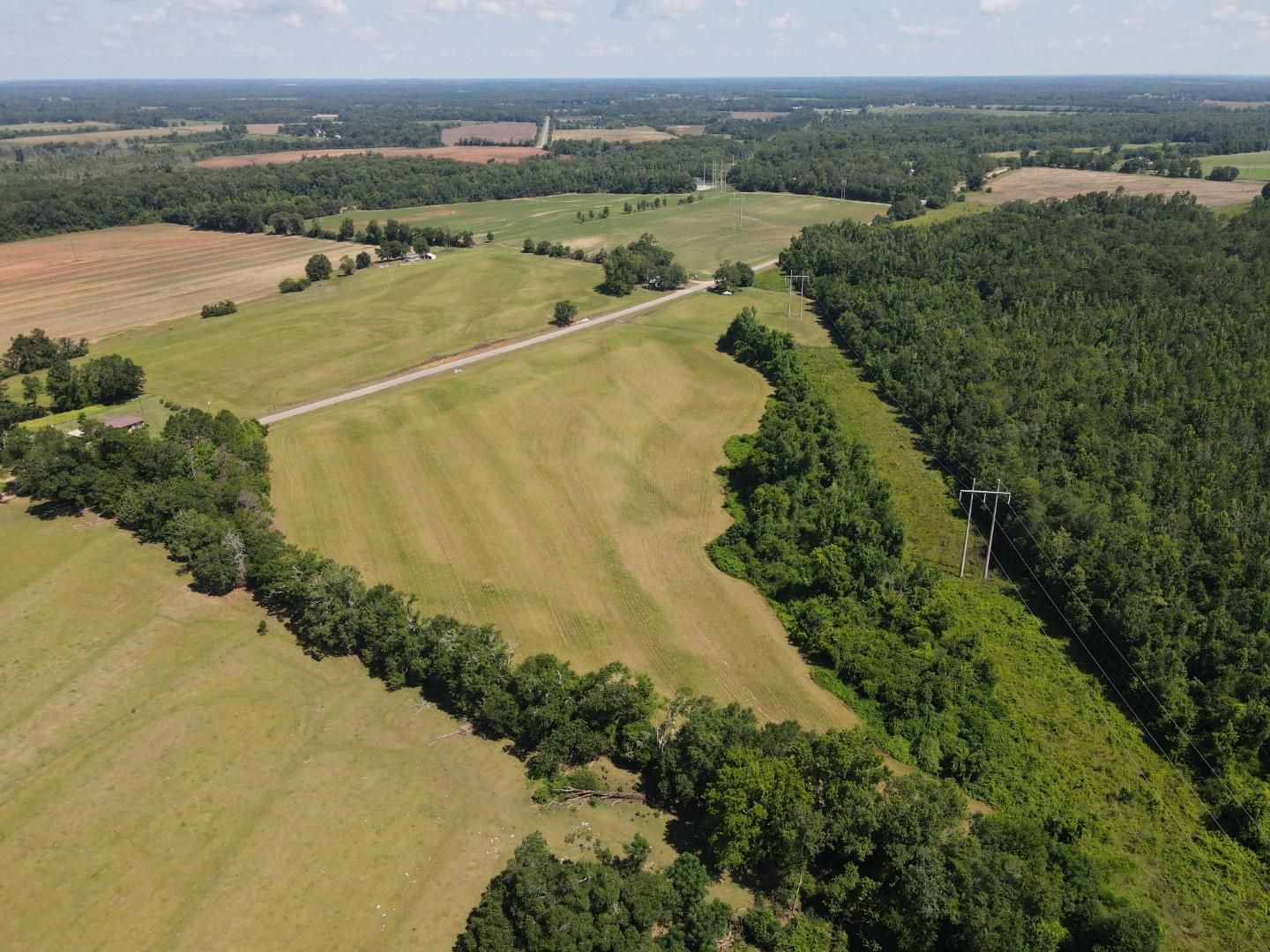 Fish Pynes Road, Pansey, AL 36370 | Land.com