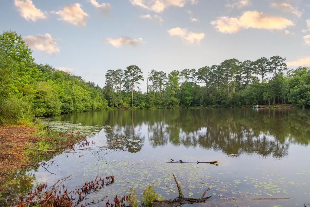 23.63 acres in Dale County, Alabama