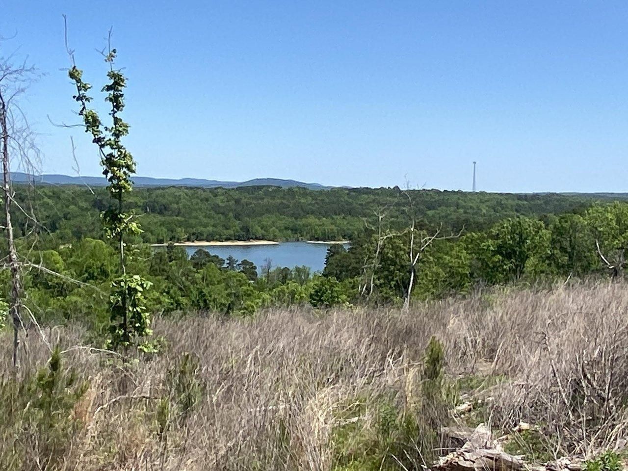 68.33 acres in Newhope, AR, 71959 | Land.com