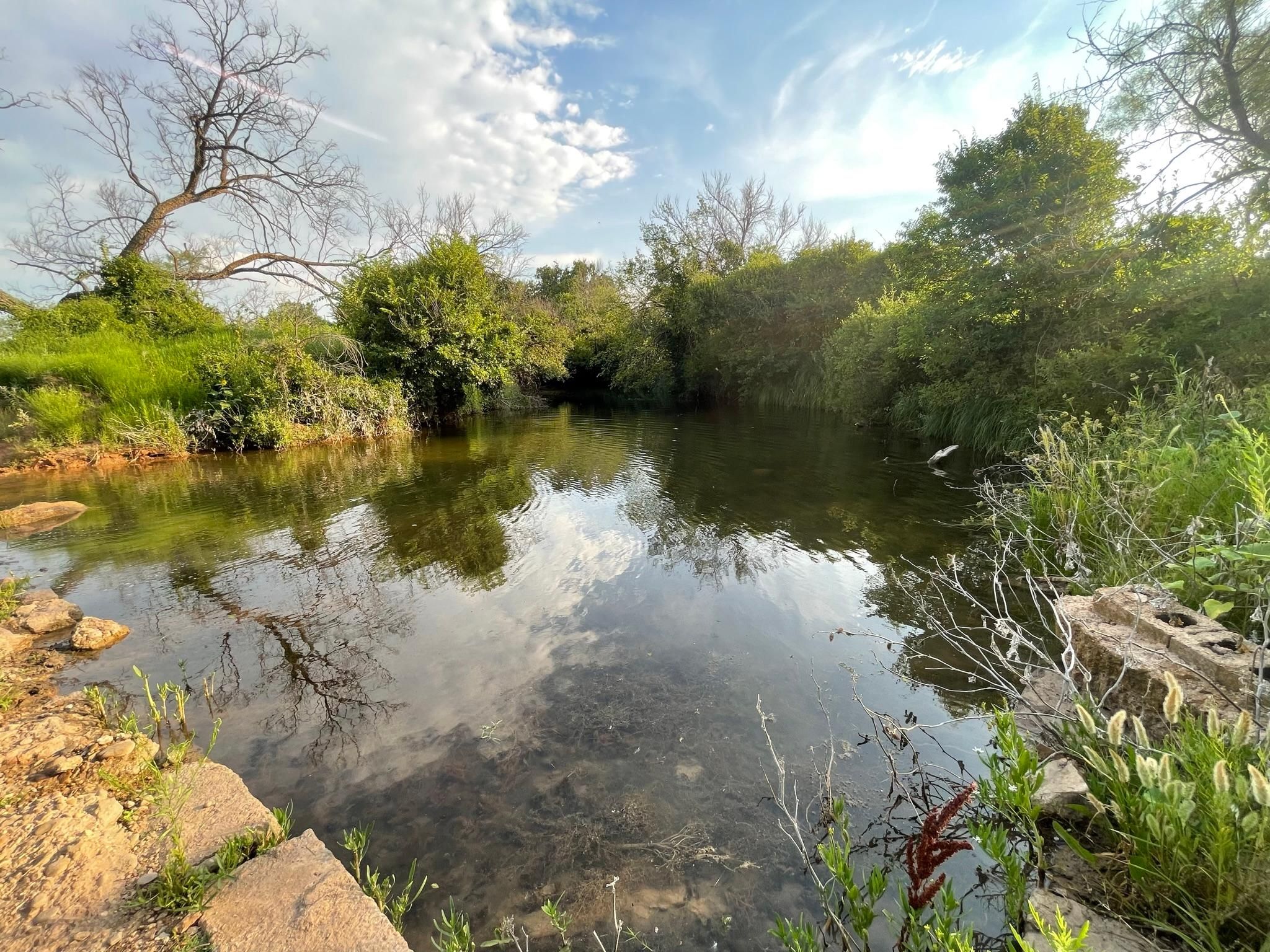 250 acres in Wilmeth, TX, 79567 | Land.com