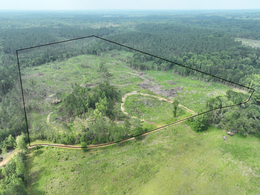 Copperhead Rd, Marietta, TX 75566 | Land.com