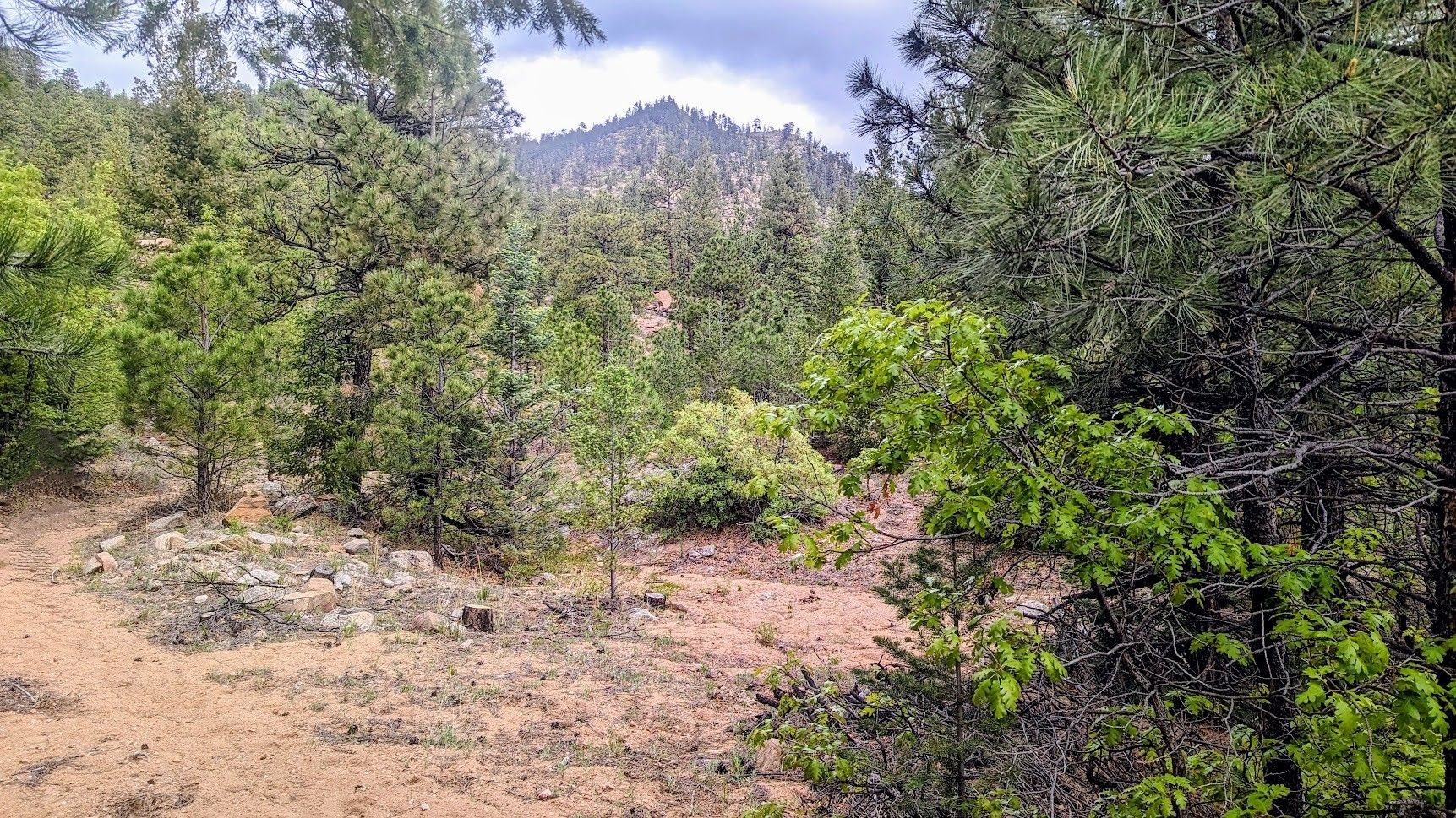 126.73 acres in Mora County, New Mexico