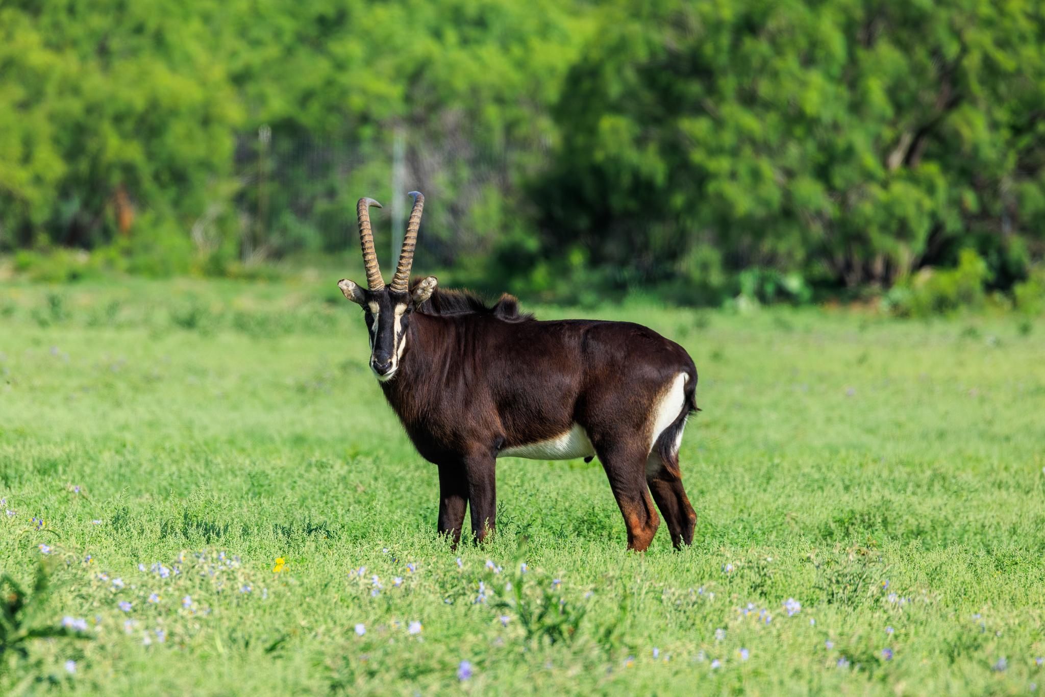 1235 Garvin Ln, Hext, TX 76859 | Land.com