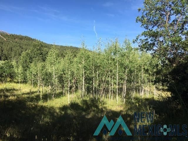 2.17 acres in Mora County, New Mexico