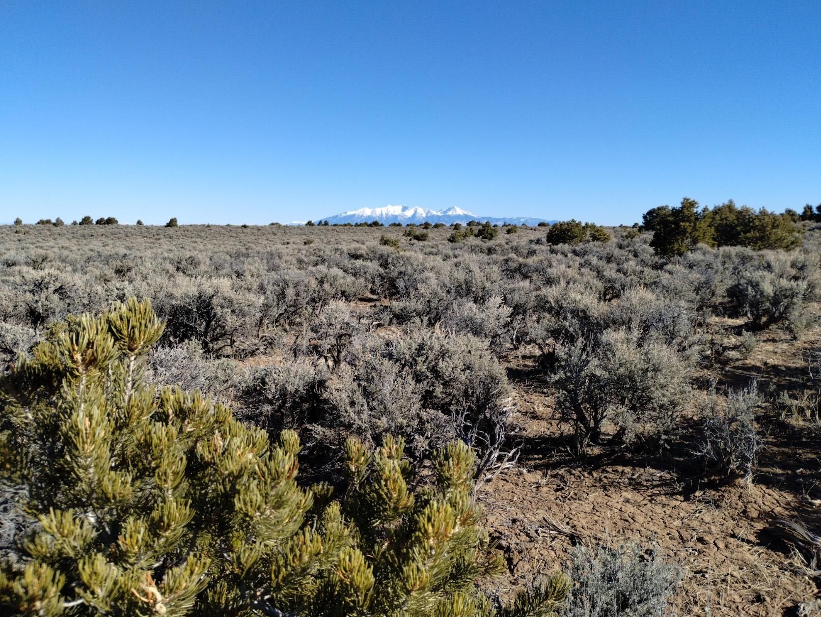 36.63 acres in Costilla County, Colorado