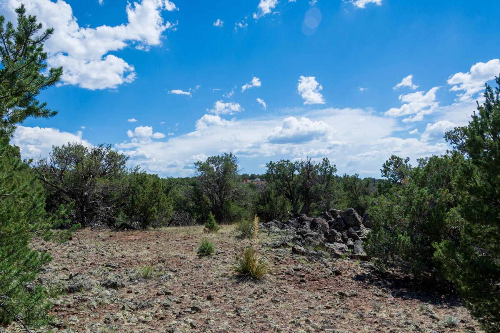 1.29 acres in Apache County, Arizona