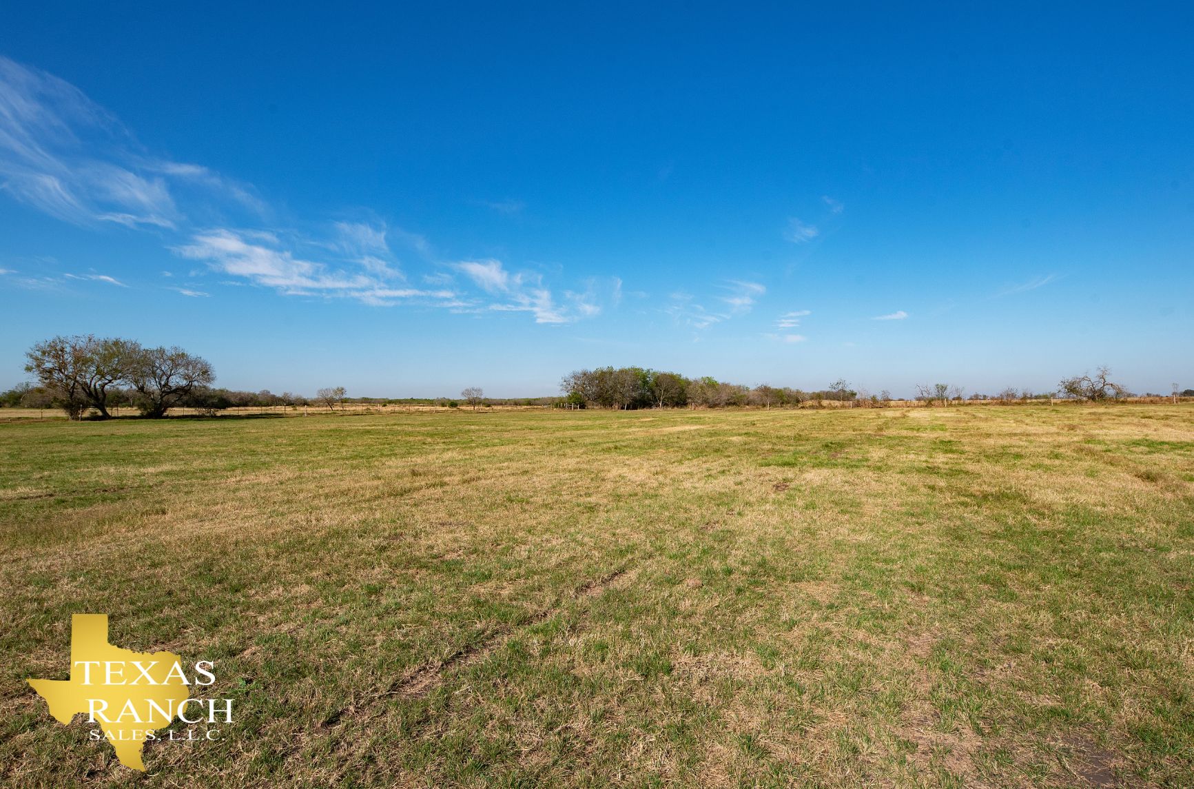 10 acres in Guadalupe County, Texas