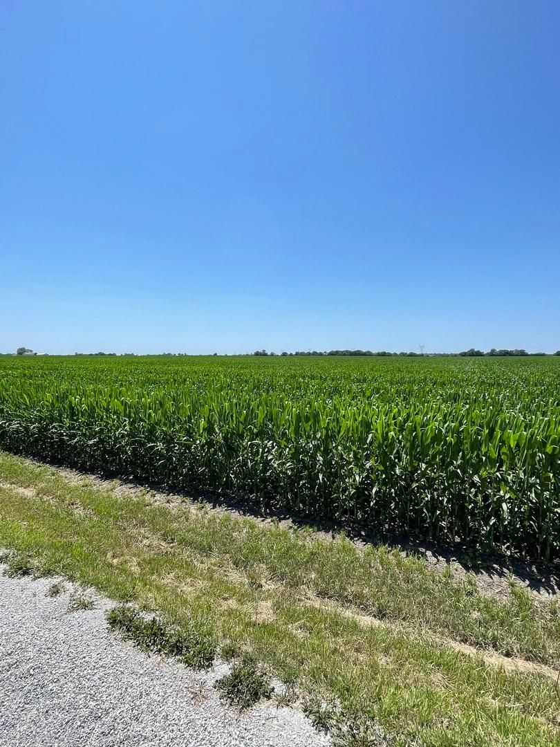 South Warner Bridge Road, Wilmington, IL 60481 | MLS: 11827672 | Land.com