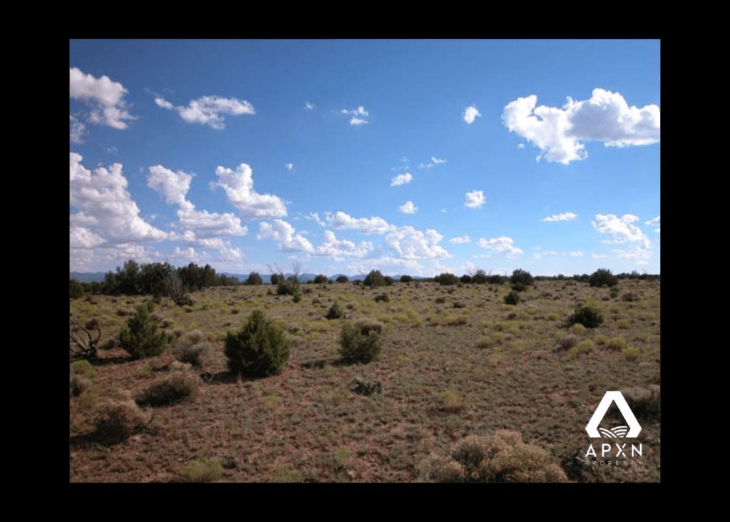 10 acres in Apache County, Arizona