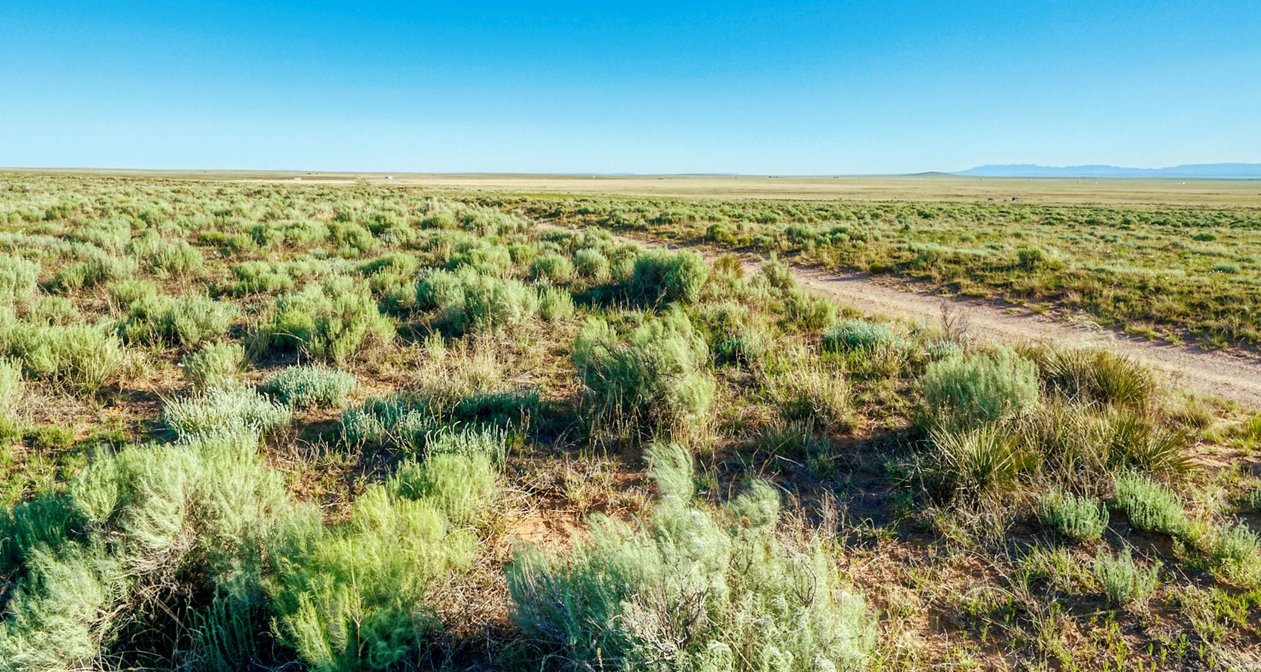 1 acres in Torrance County, New Mexico