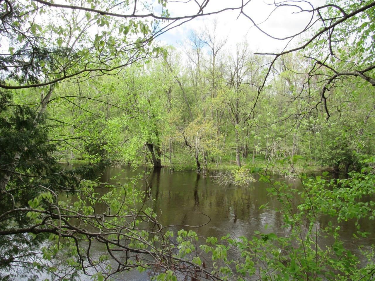 TBD North Half Twin Island Off Hwy 180, Wagner, WI 54177 | Land.com