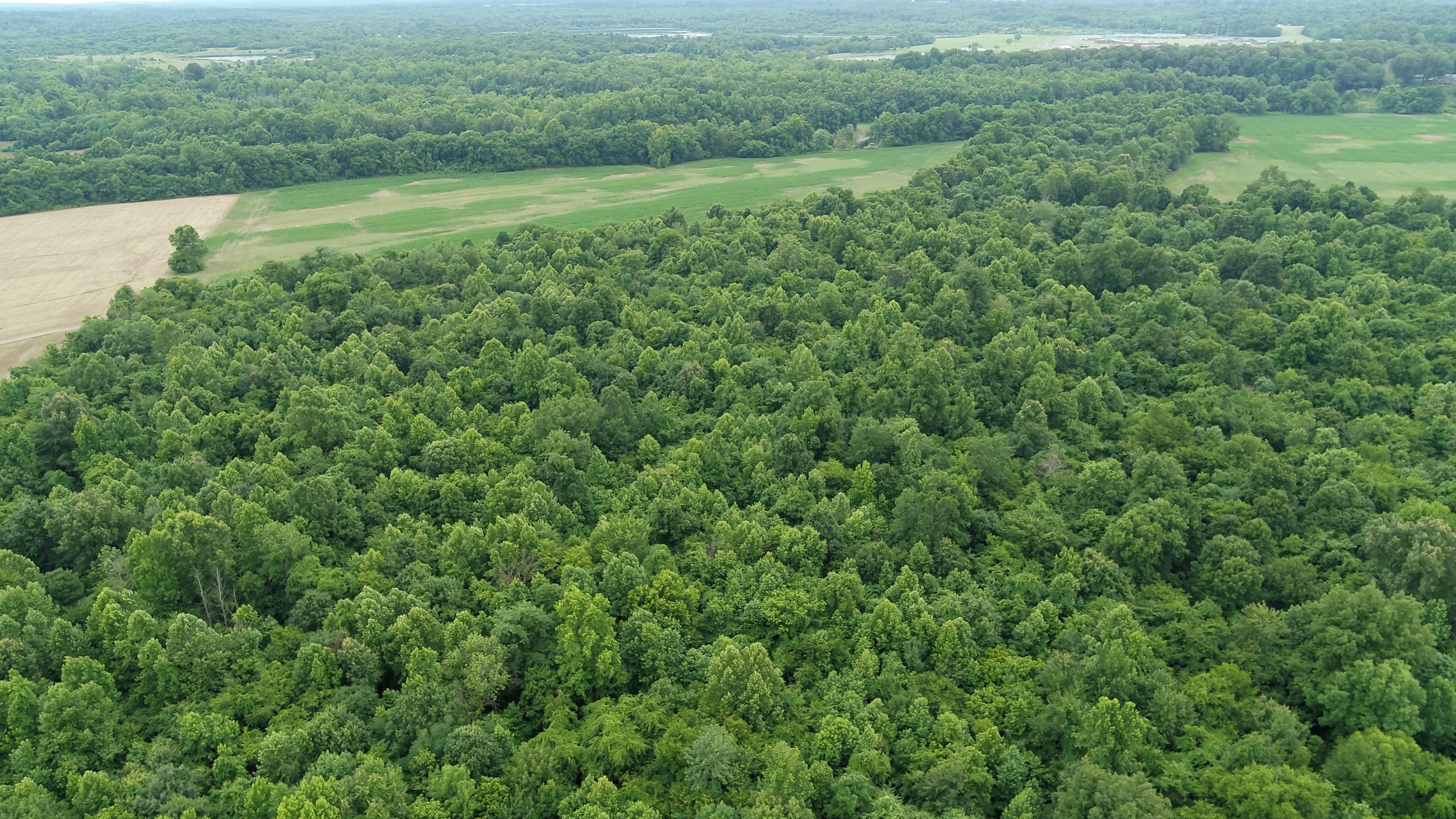 91 Acres In Ohio County Kentucky