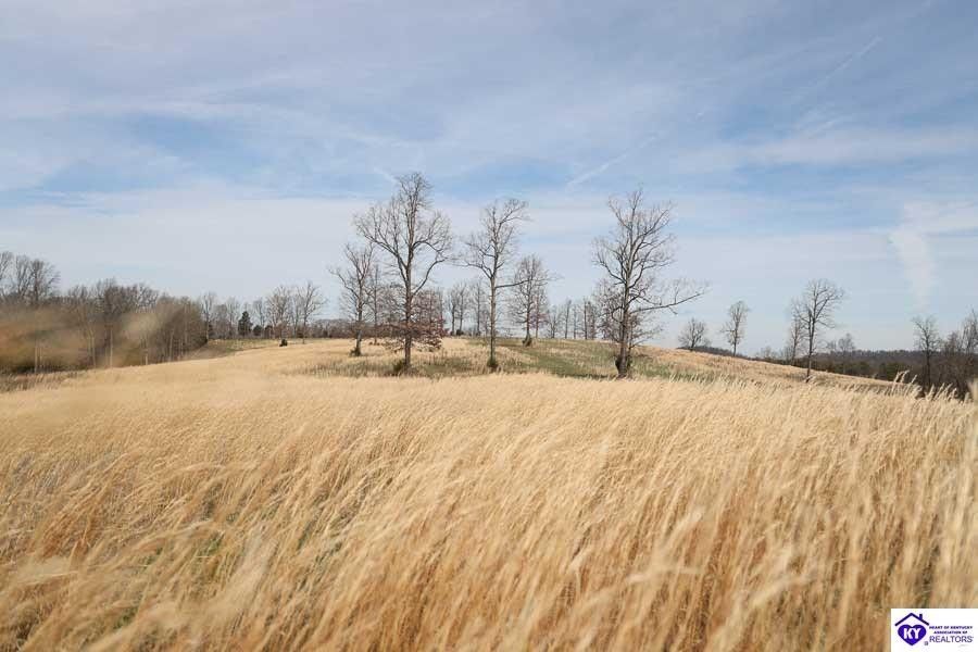 1800 Tract 2 E Millerstown Road, Upton, KY 42784 | MLS: HK23001863 ...