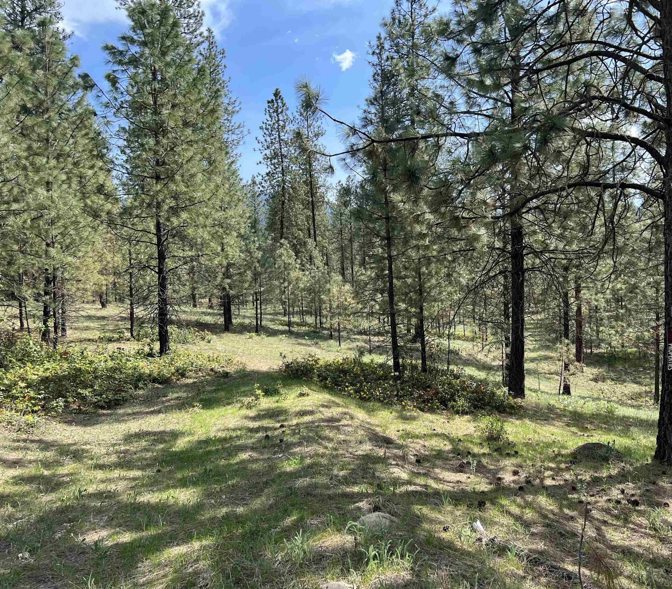 16.23 acres in Stevens County, Washington