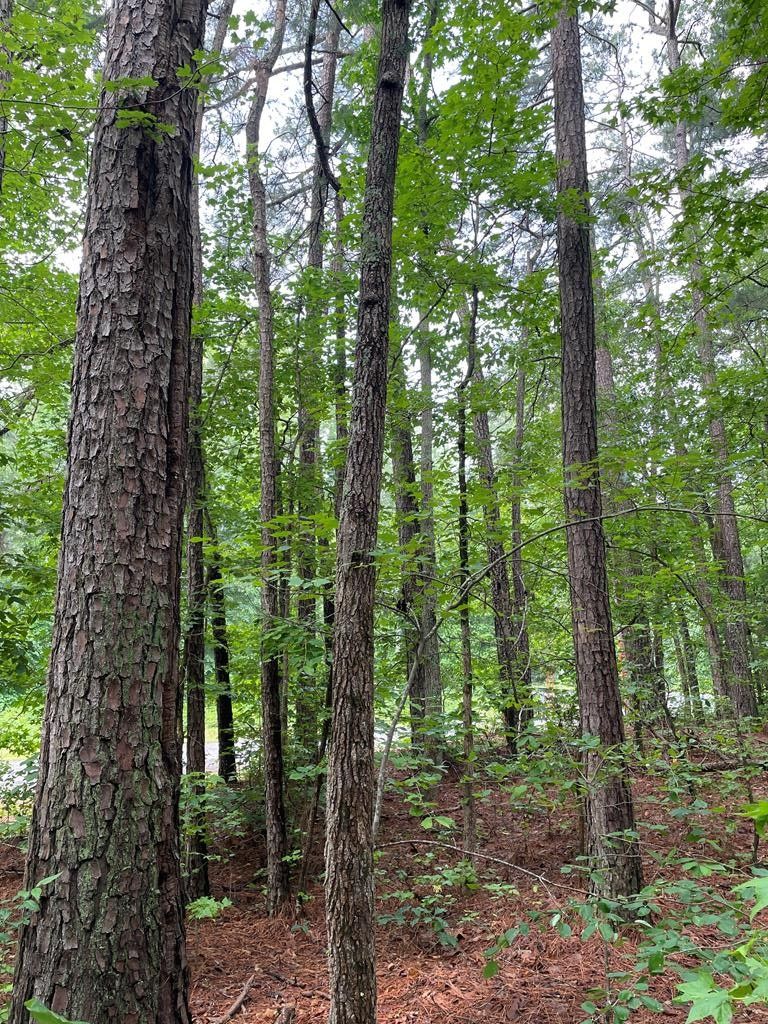 1 acres in Nottoway County, Virginia
