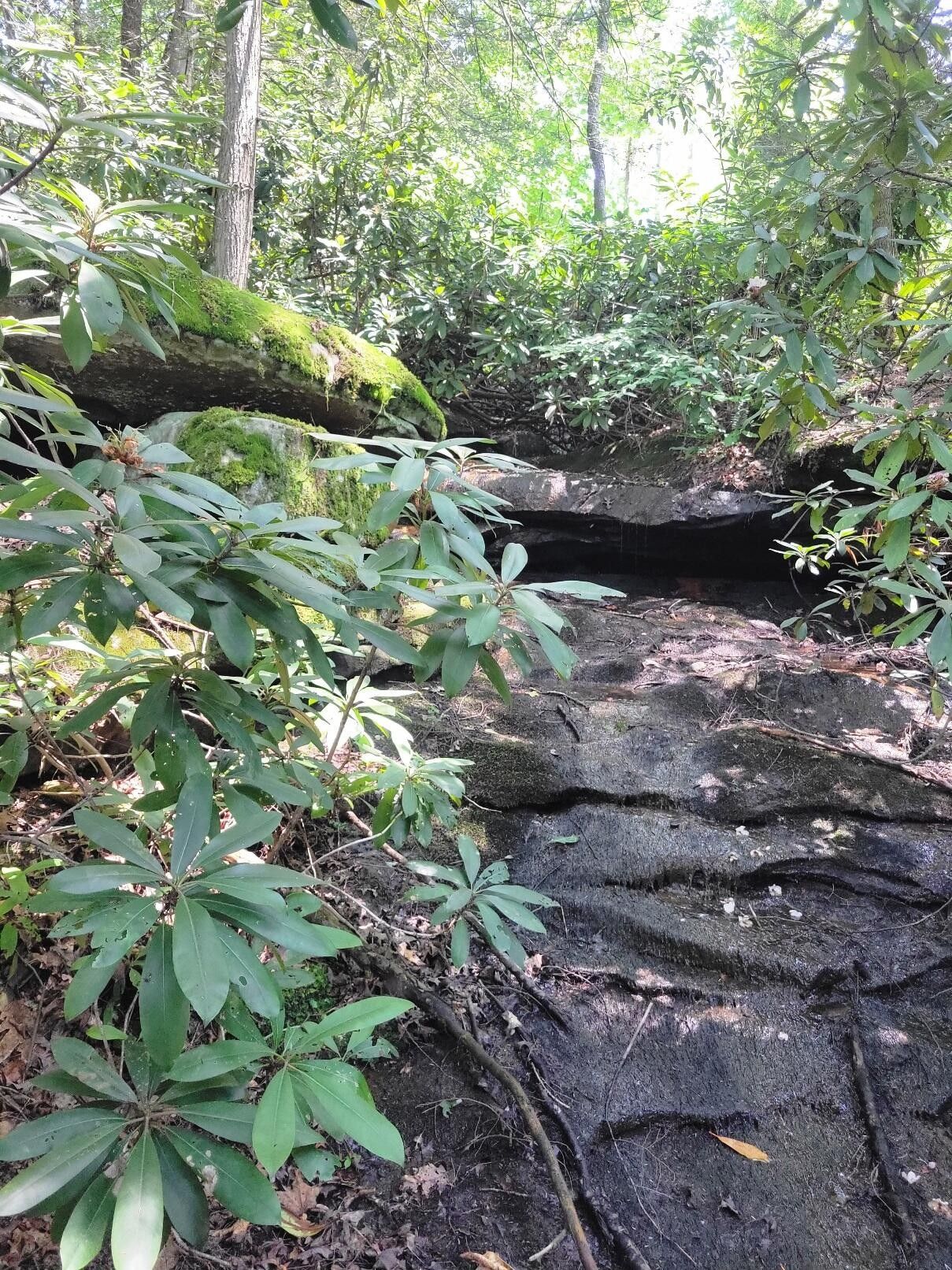 Lots and Land - Scarbro, WV